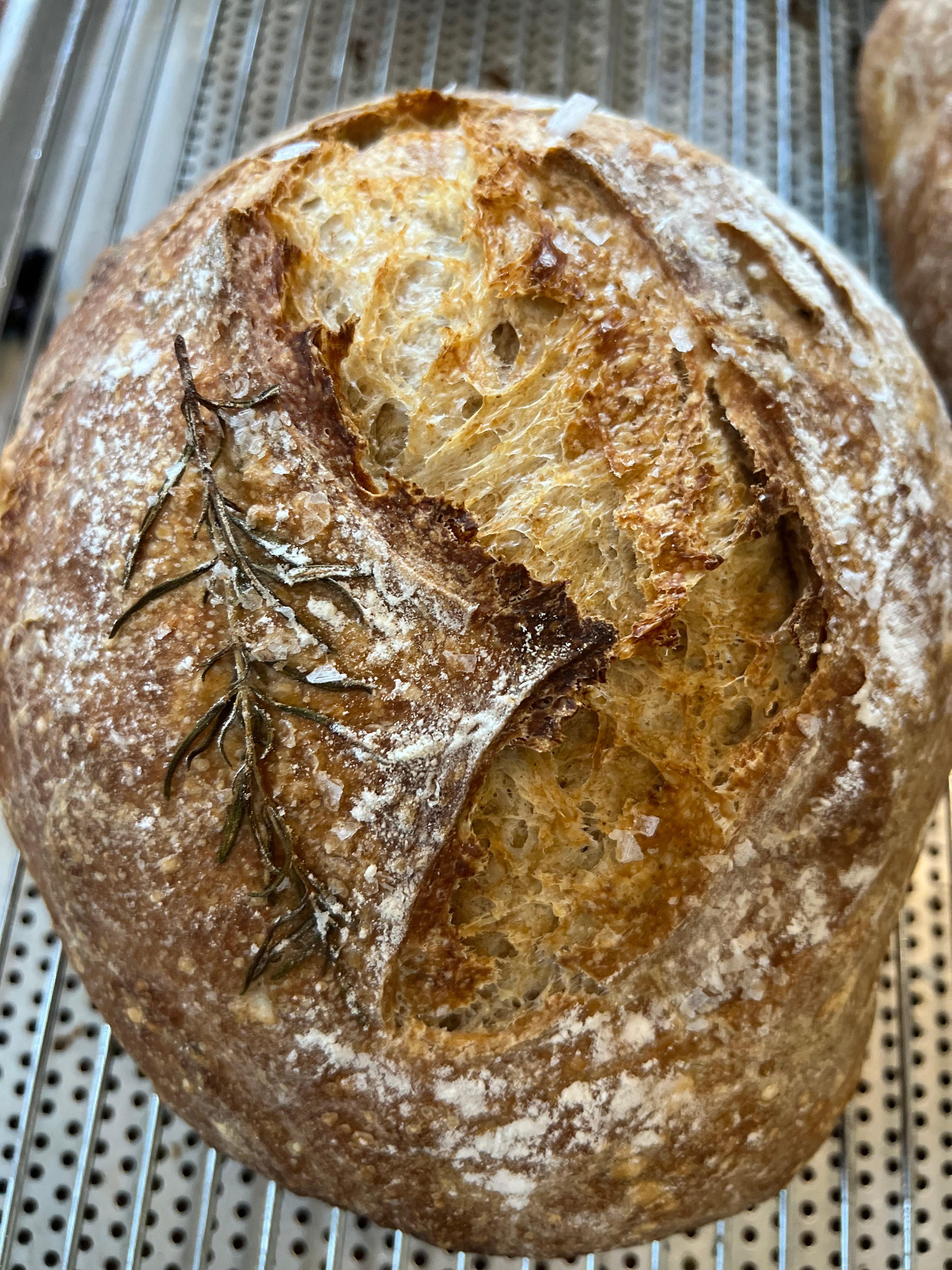 Rosemary Salt Sourdough Preorder - Saturday PICKUP – Knackered House